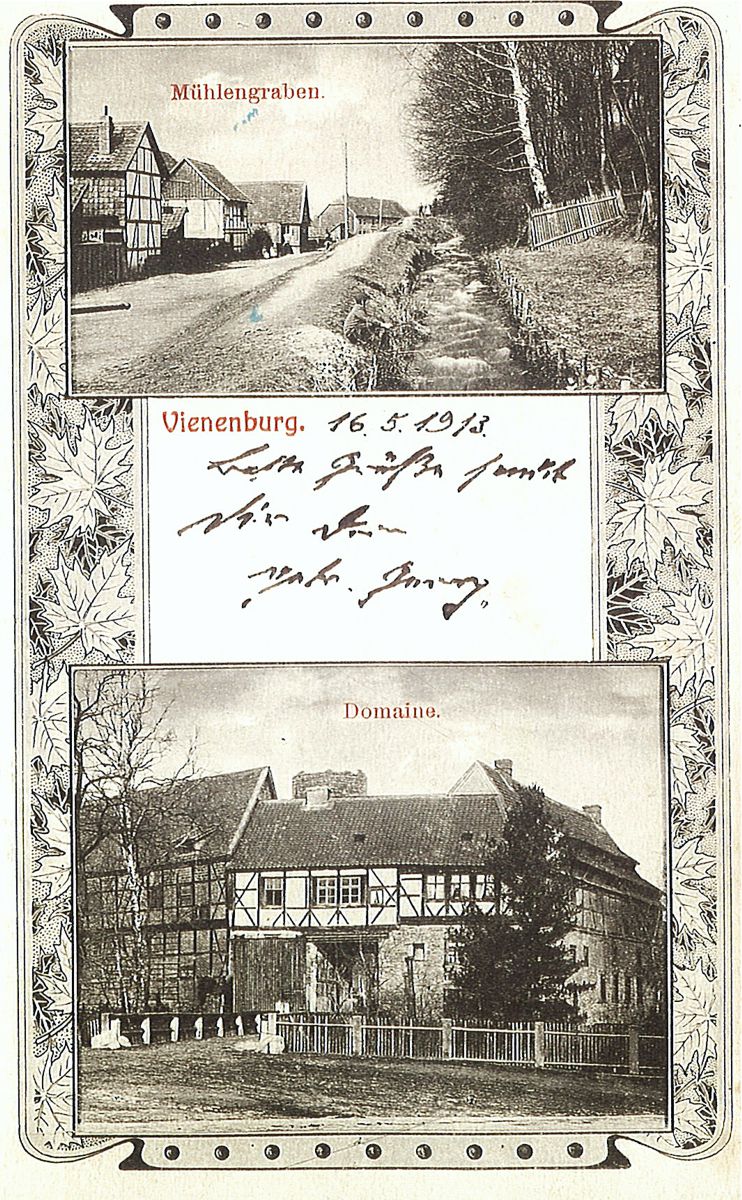 Geschichte der Burg Vienenburg