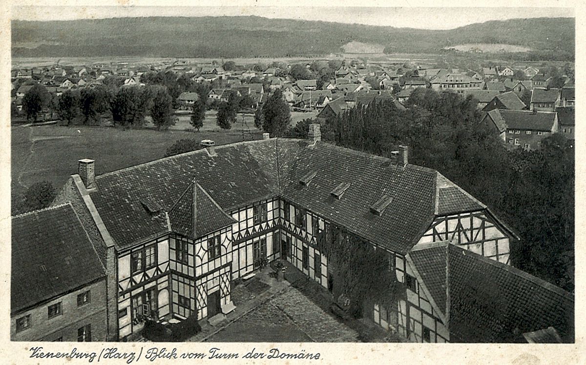 Geschichte der Burg Vienenburg